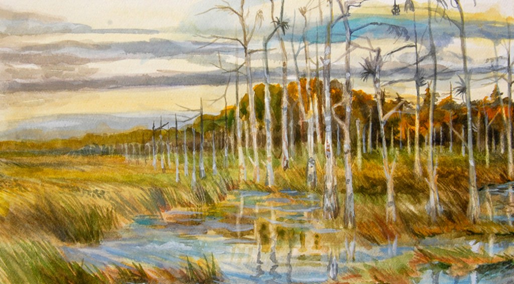 Everglades Sketchbook 8